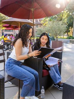 Academic Advisement - MSMU