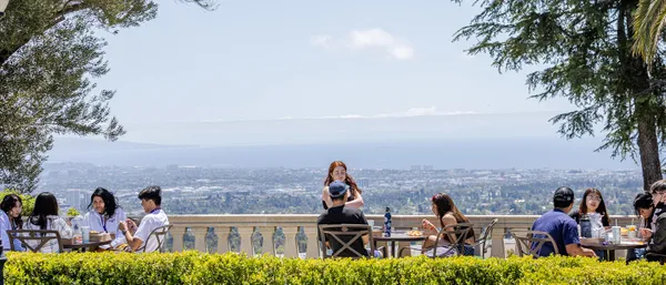 Undergraduate Programs - MSMU