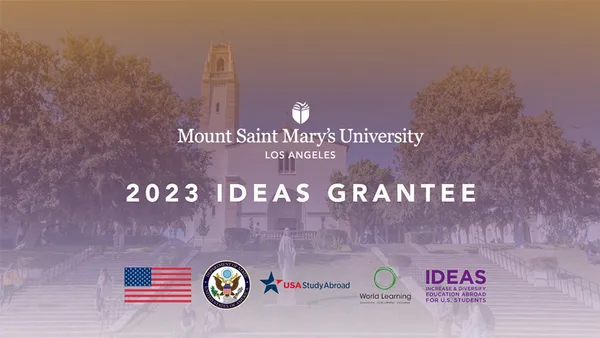 IDEAS Grant - MSMU