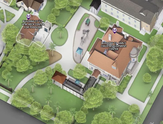 About the Program - MSMU