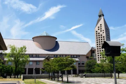 Mount Exchange Universities - MSMU