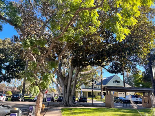 Getting to the Admission Office - MSMU