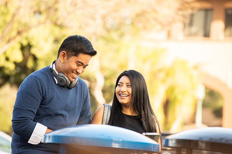 Program Overview - MSMU