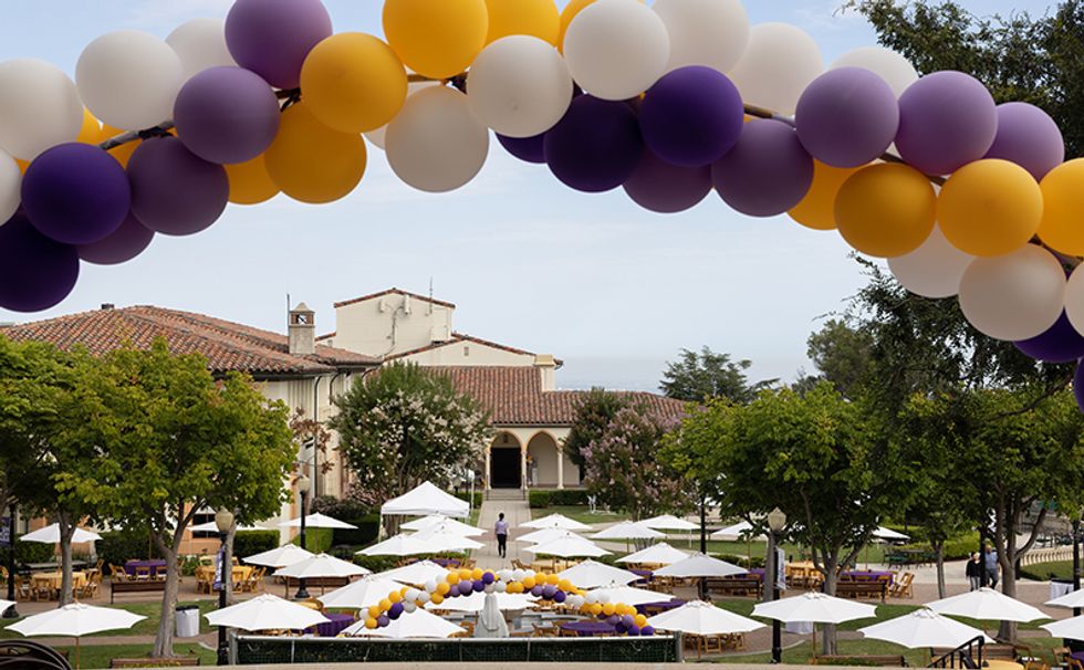 Undergraduate Students - MSMU